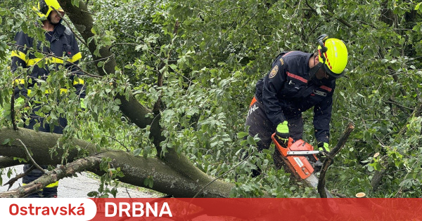 Vítr v Moravskoslezském kraji večer lámal stromy, poškodil několik střech. Hasiči zasahovali na ...