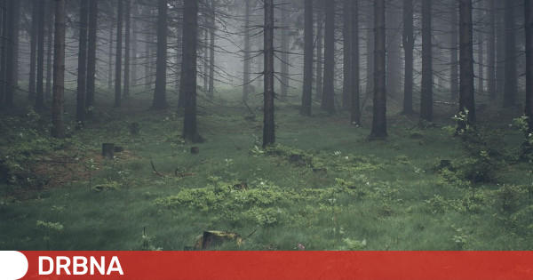 Mlhavá rána a chladný víkend. Teploty přes týden vystoupají až k 20 ...