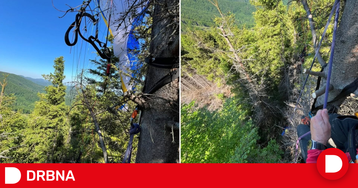 Dva paraglidisté zakončili lety v korunách vysokých stromů, kde zůstali ...